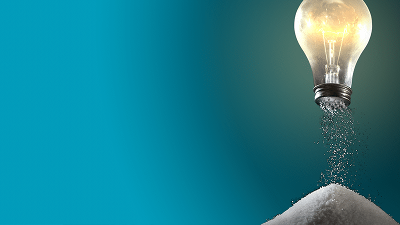 Salt & light in education - The Christian Institute