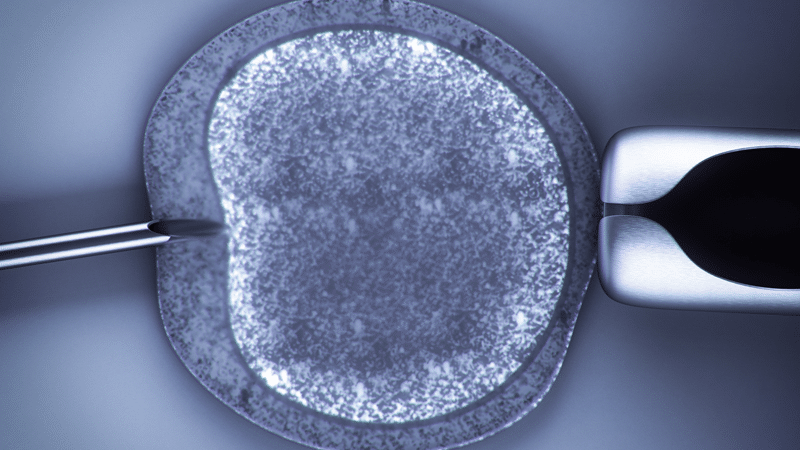 Time limits on embryo experimentation abandoned - The Christian Institute
