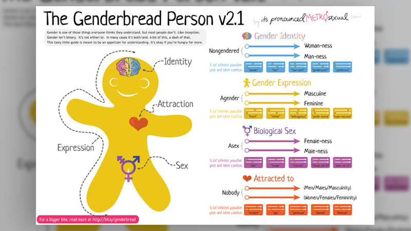 genderbread01 - The Christian Institute